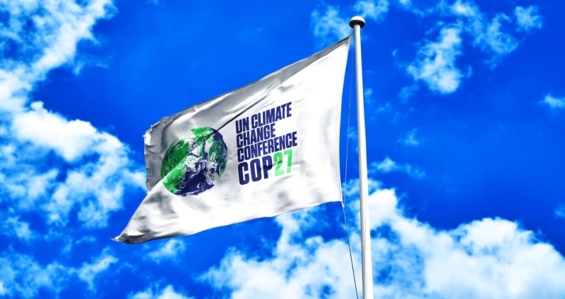 Reflections from CGS experts on COP27 outcomes and progress towards ...