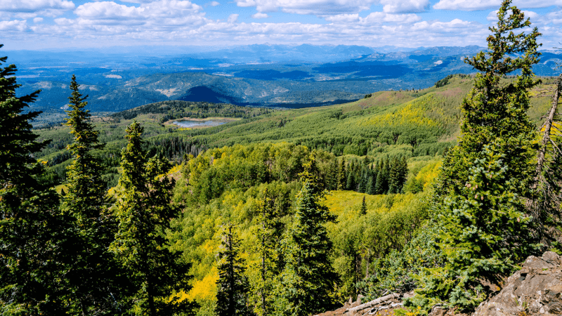 New Analysis Shows Climate-Smart Agriculture, Forestry Investments Can ...