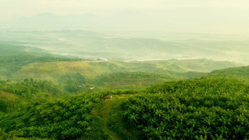 Conference: Indonesia’s Role in Addressing Climate Change in Southeast ...