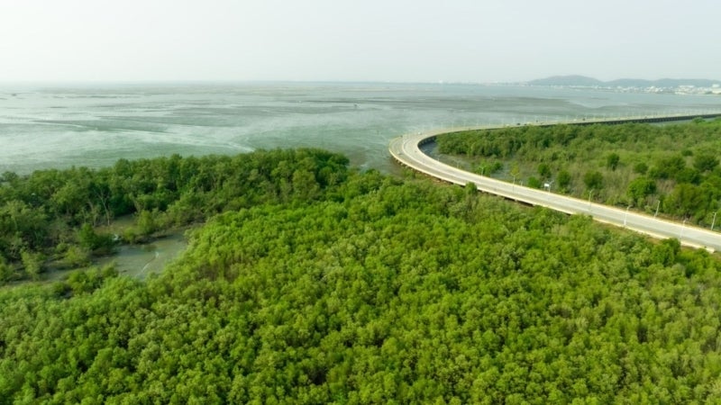 Collaborating for Climate: CDR Policies and Practices in the U.S. and ...