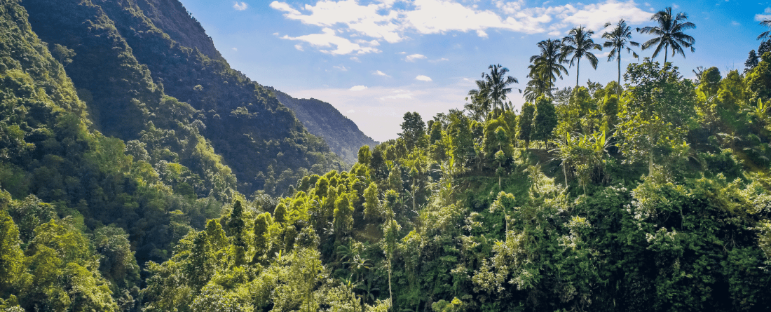 Navigating SDG 8 in the Decarbonizing Landscape of Emerging Economies ...